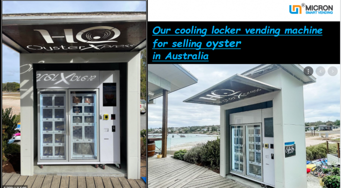 Oyster Vending Machine With Cooling System and Lockers 24V Electric ...